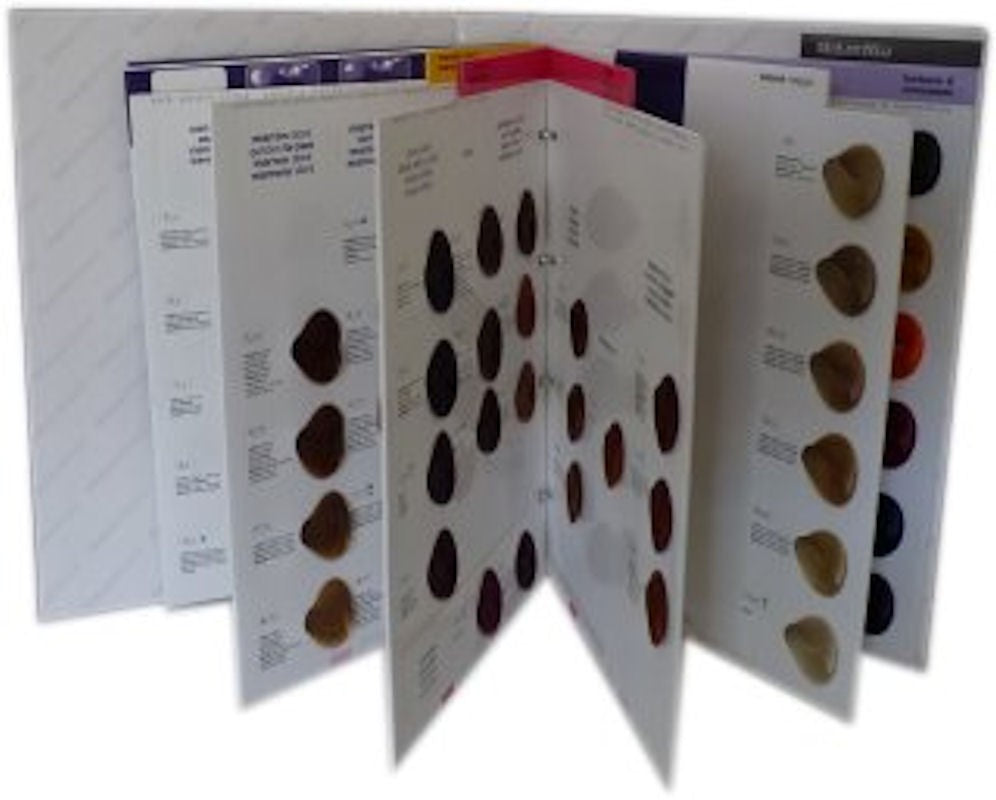 Salerm Color System Swatchbook – Saberprof
